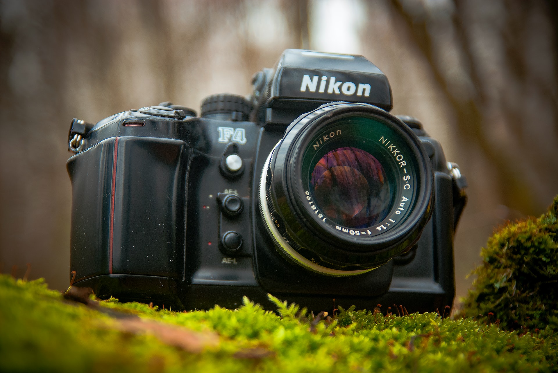 Camera for the novice photographer, or what is better to go to ...